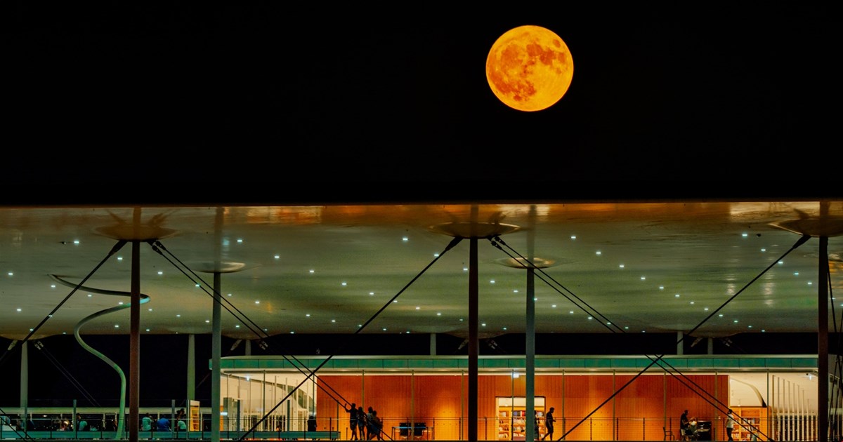 Full Moon Sleepovers | Τρεις βραδιές γεμάτες σινεμά, παιχνίδια και ...